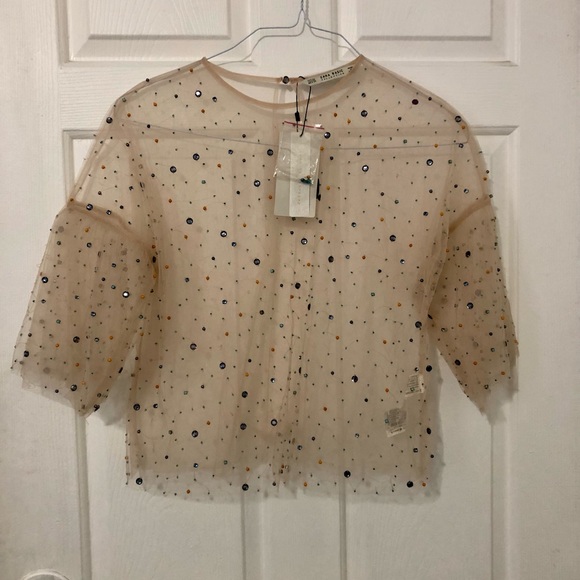 Zara | Tops | Zara Sheer Top | Poshmark